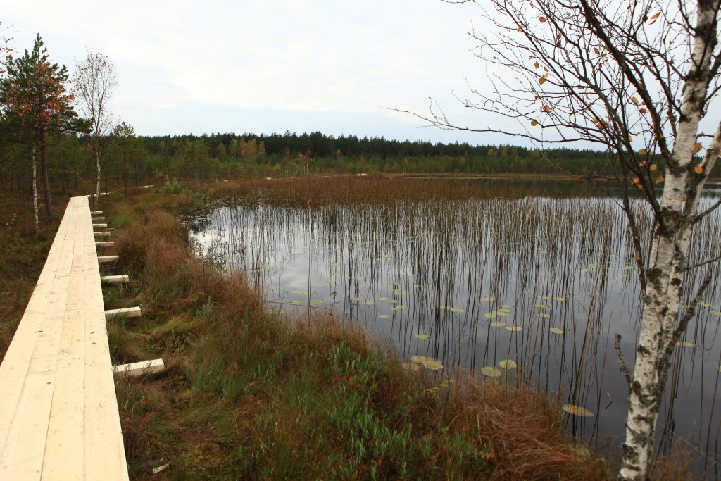 Teirumnieku Purva Taka Latgales Tūrisma Mājaslapa