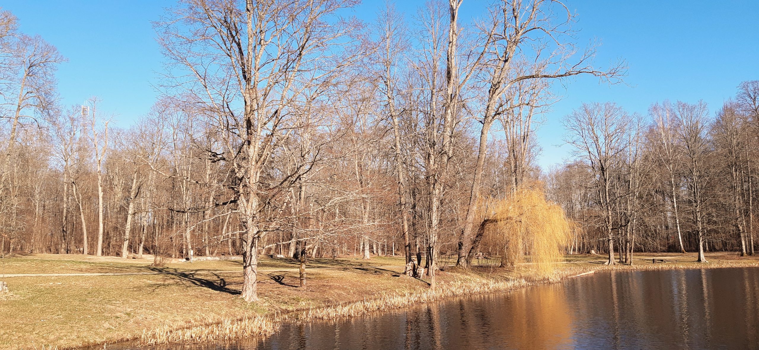 Preili park trail of venerable trees | Latgale Tourism homepage