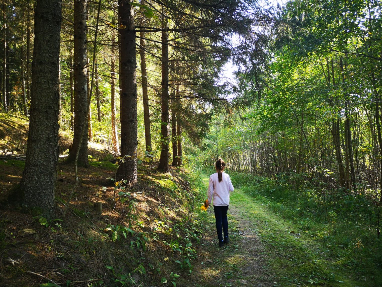 “Rundānu Valna dūbes” dabas taka | Latgales tūrisma mājaslapa