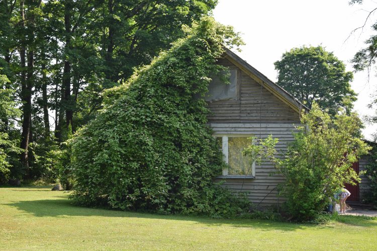 Atpūtas vieta "Kabata" | Latgales tūrisma mājaslapa